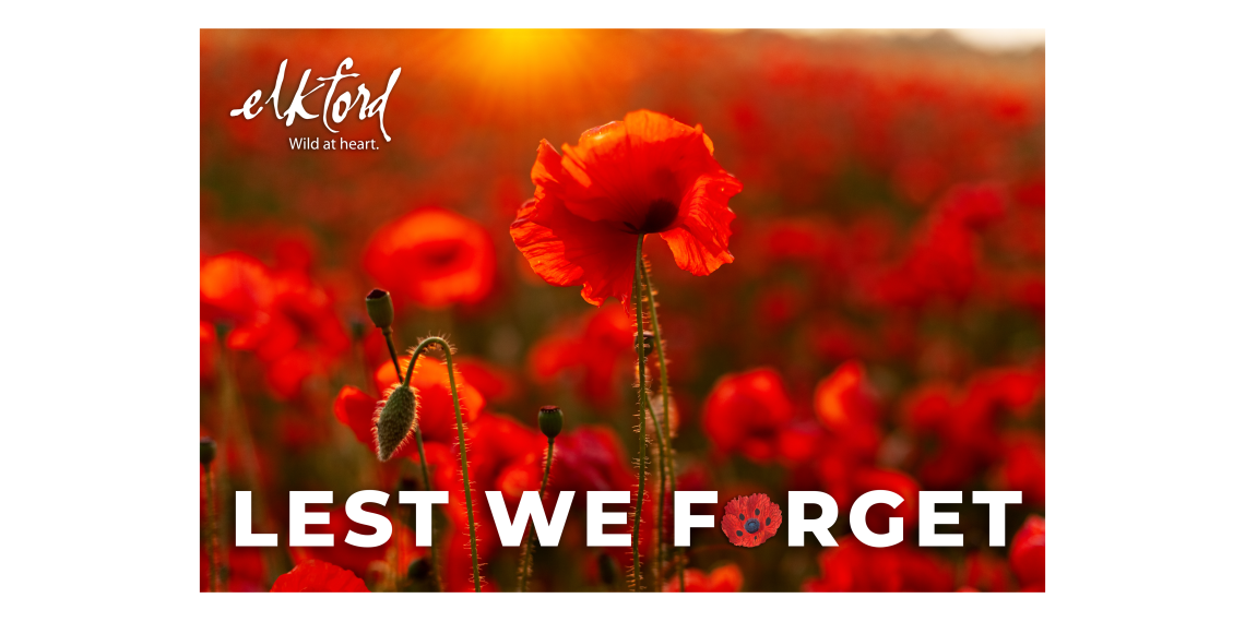 Elkford Remembrance Day Events 2024 | District of Elkford